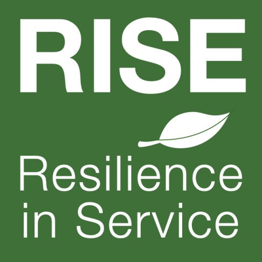 Embodied Awareness | RISE | Resilience in Service